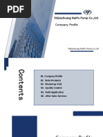 Lewis Pumps Comprehensive Brochure | PDF | Pump | Valve