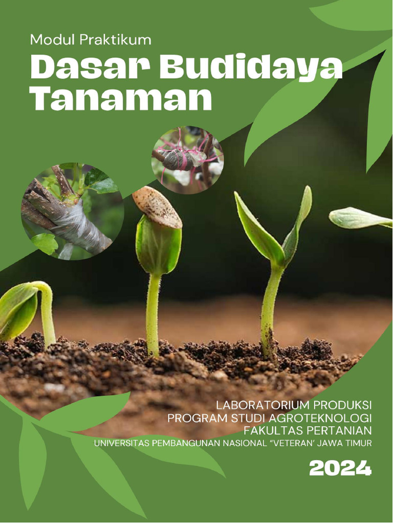 Modul Dasar Budidaya Tanaman 2024+cover | PDF