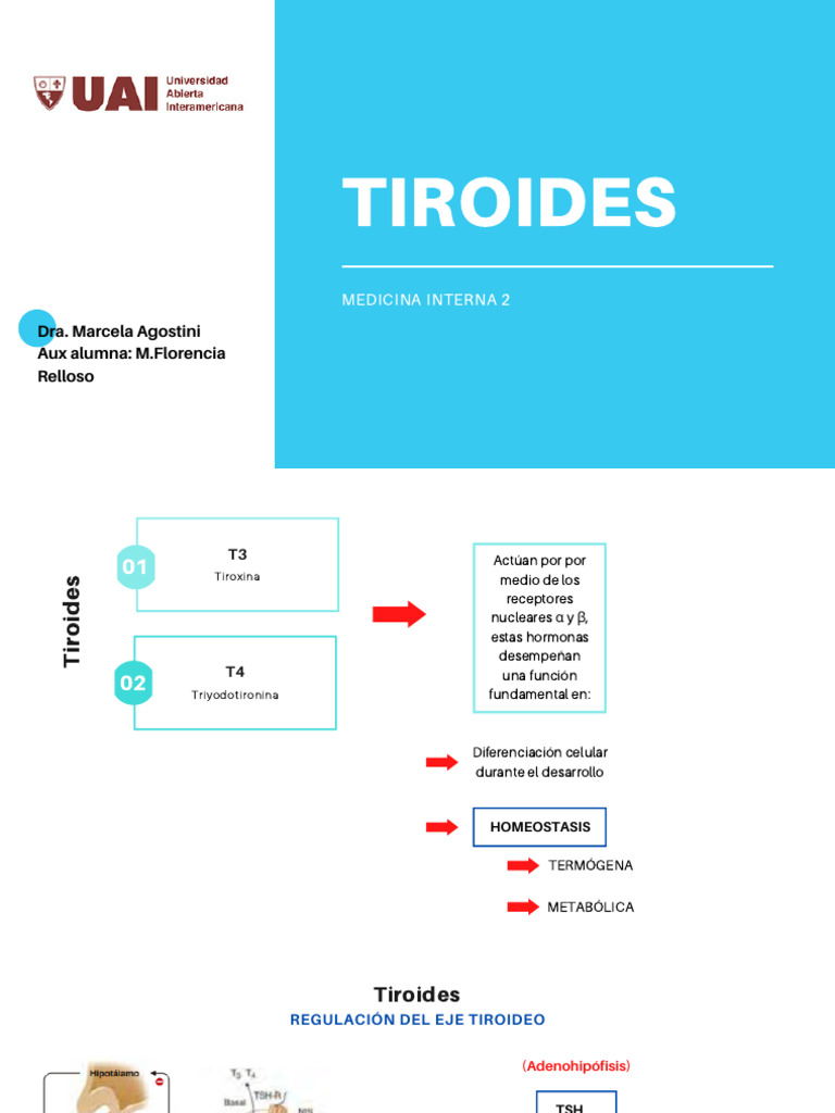 Tiro Ides | PDF | Tiroides | Hipertiroidismo