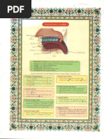 Tajwid Diagram PDF | PDF