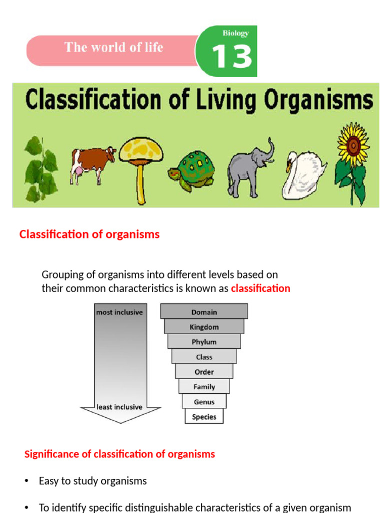 Organism Classification Methods | PDF | Taxonomy (Biology) | Plants