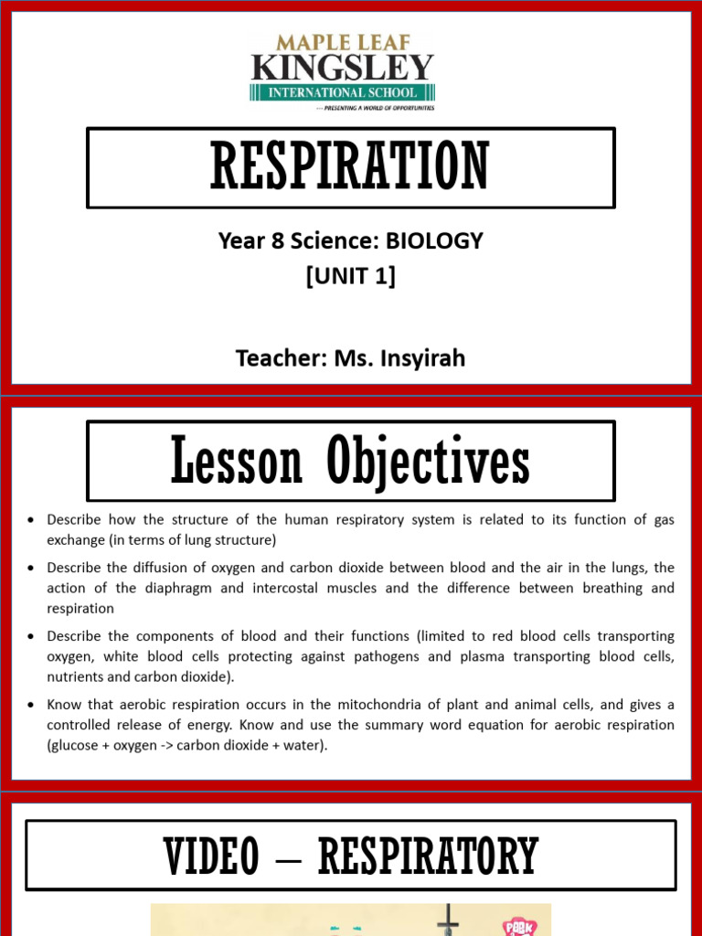 UNIT 1 - RESPIRATION | PDF | Respiratory System | Cellular Respiration