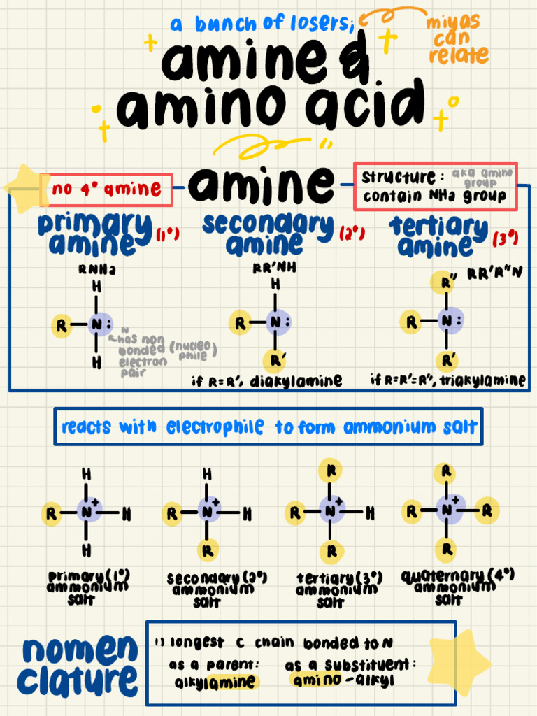 C2 (N) 9. A) Amine | PDF | Amine | Organic Chemistry