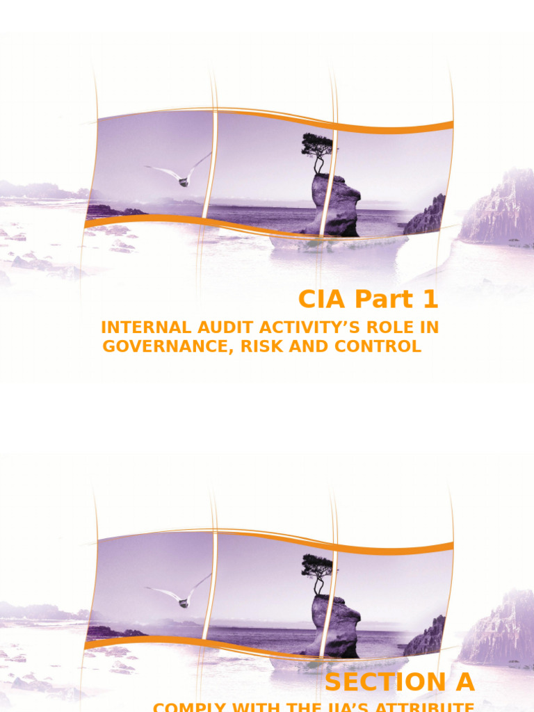 vdocuments.mx_cia-part-1-slides | PDF | Internal Audit | Audit