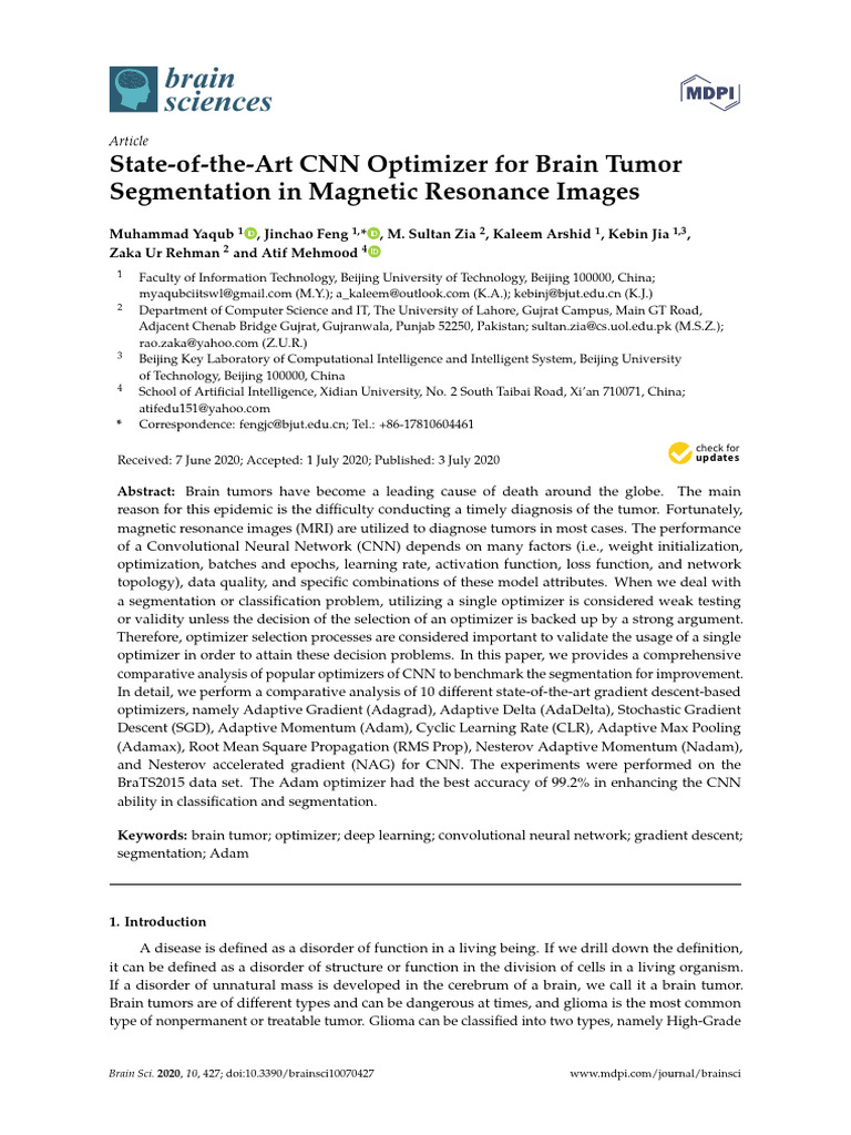 Brain Sciences: State-of-the-Art CNN Optimizer For Brain Tumor Segmentation in Magnetic ...