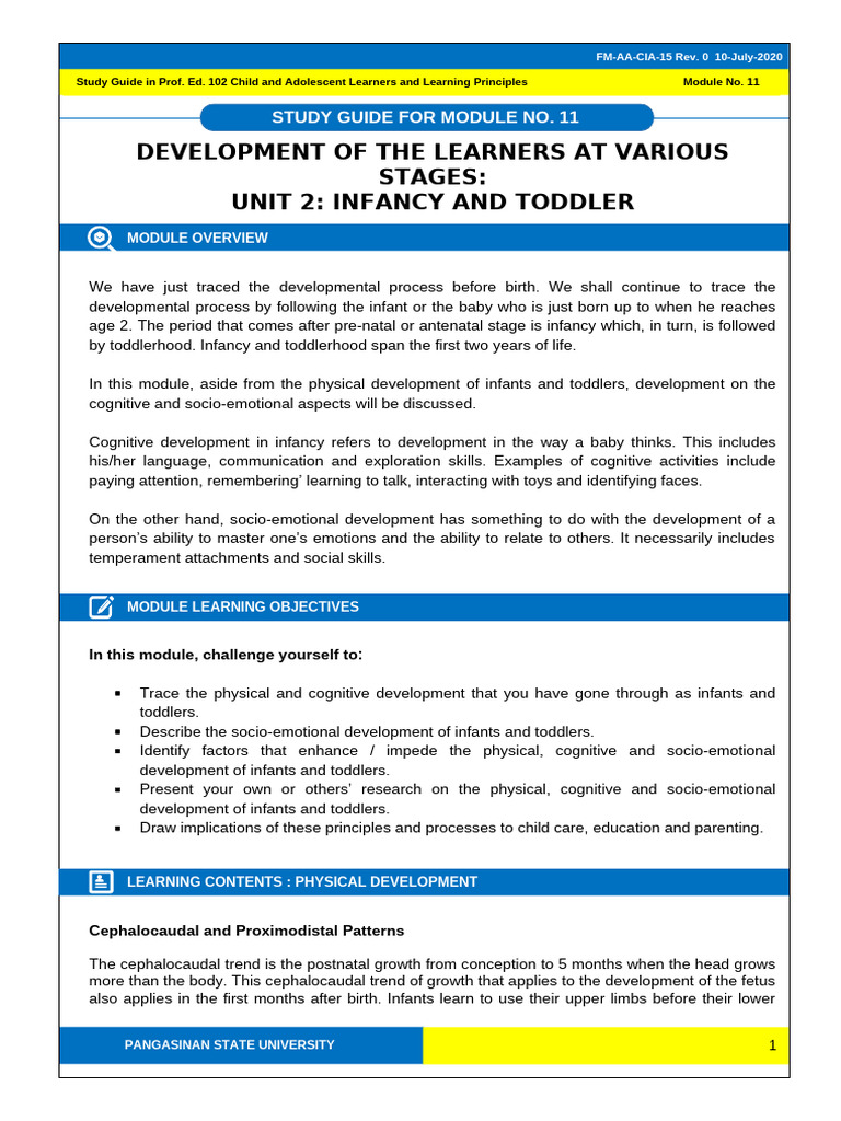 Infancy and Toddler Development Guide | PDF | Infants | Cognitive ...