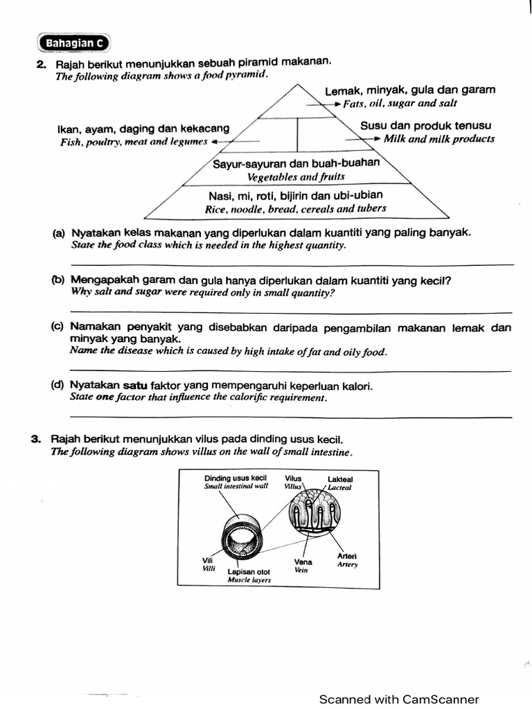 Homework Science F2 Set 2 at 7th March | PDF