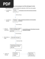 Api - 20 Ne - Microbial - Id-Sop | PDF | Nitrate
