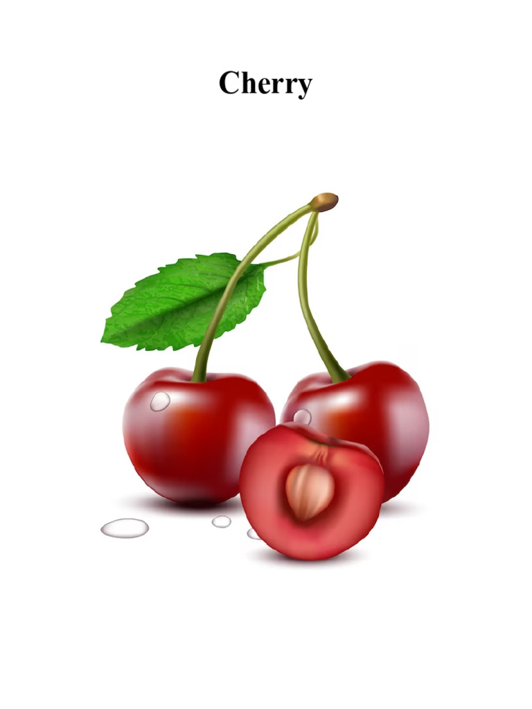 Cherry | PDF