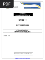 Agricultural Sciences p2 Gr11 Memo Nov2024 - English - Watermark | PDF | Fruit | Fertilizer