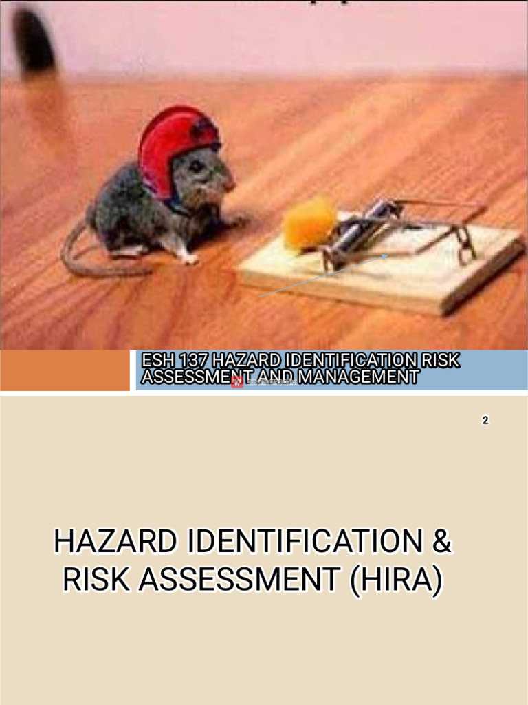 Hazard Identification & Risk Management | PDF | Hazards | Safety