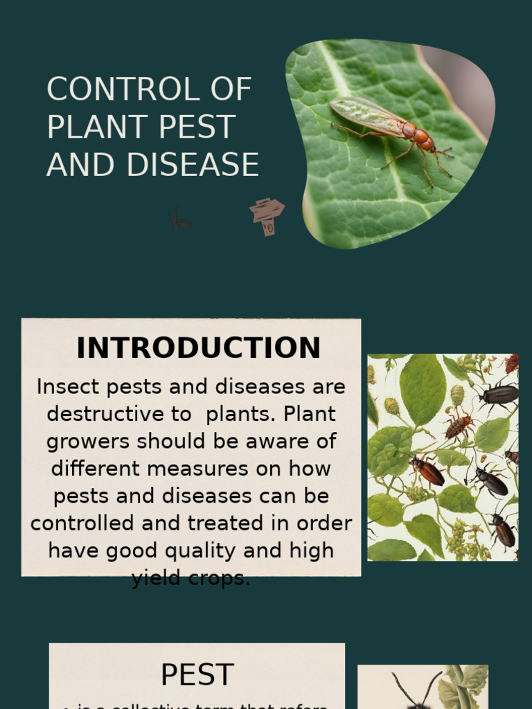 Control of Plant Pests and Diseases | PDF | Pest (Organism) | Branches ...