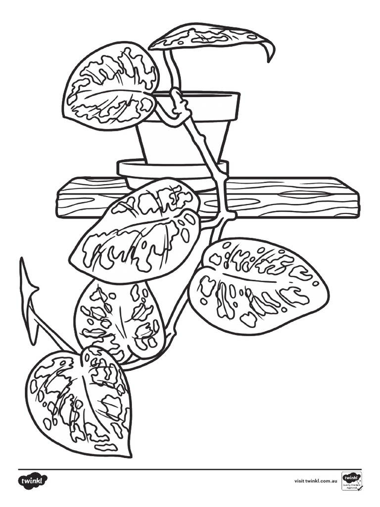 Indoor Plants Colouring Pages - Ver - 1 | PDF