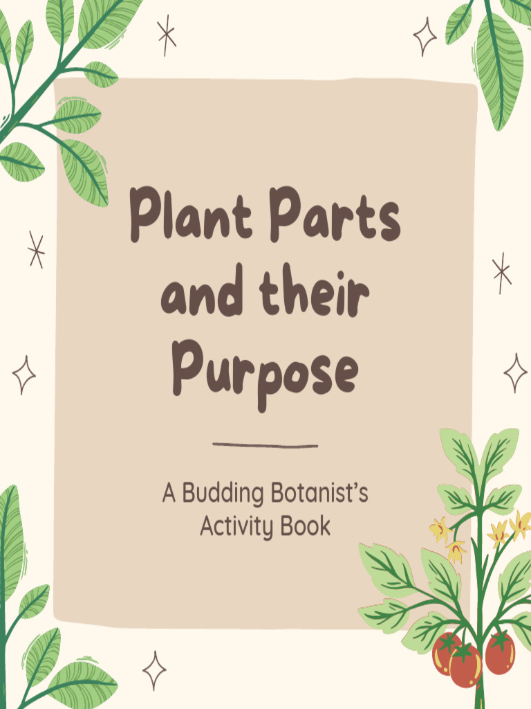 Plants Parts and Their Function | PDF | Science & Mathematics