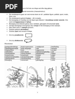 Poëtiese Begrippe | PDF