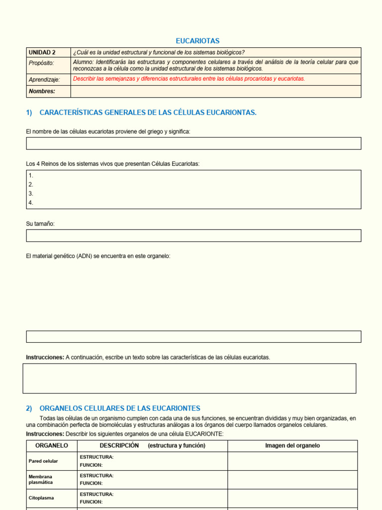 Celulas Eucariotas | PDF | Biología Celular) | Eucariotas