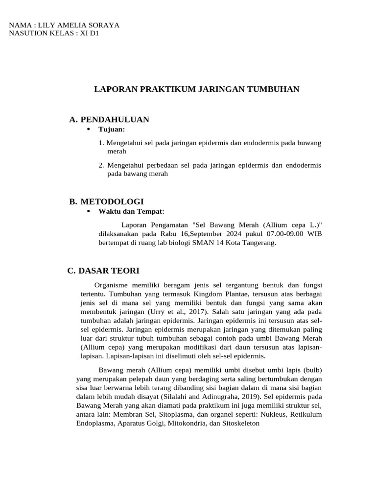 Laporan Praktikum Jaringan Tumbuhan | PDF
