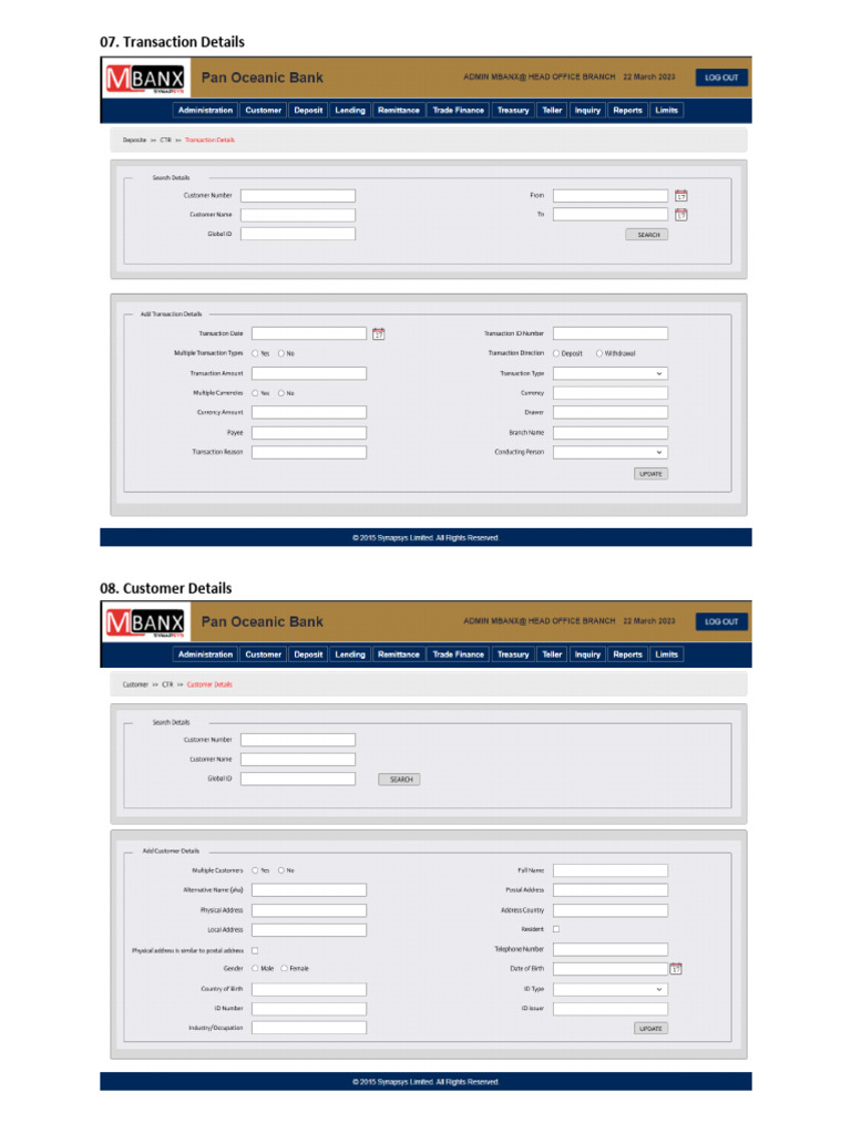 Transaction and Customer Details Guide | PDF