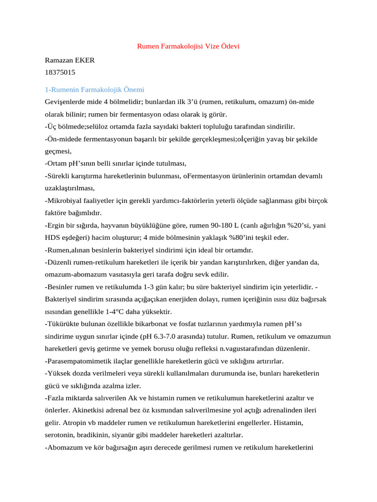 Rumen Farmakolojisi Vize Odevi | PDF