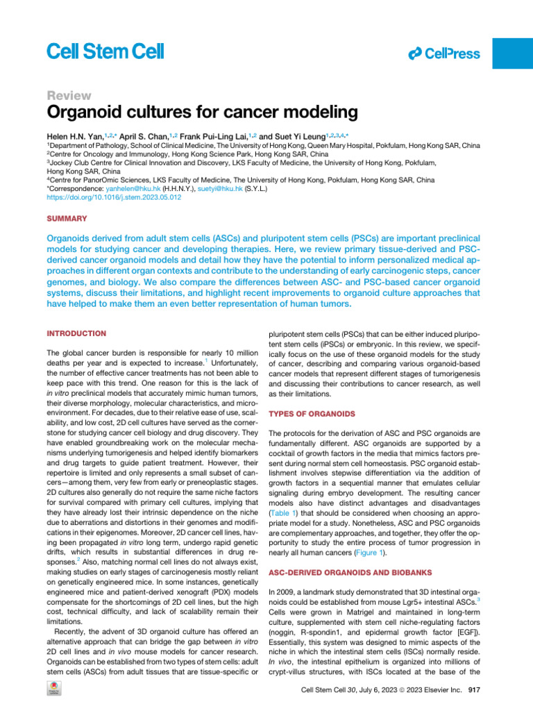 Organoid Cultures For Cancer Modeling | PDF | Carcinogenesis | Cancer