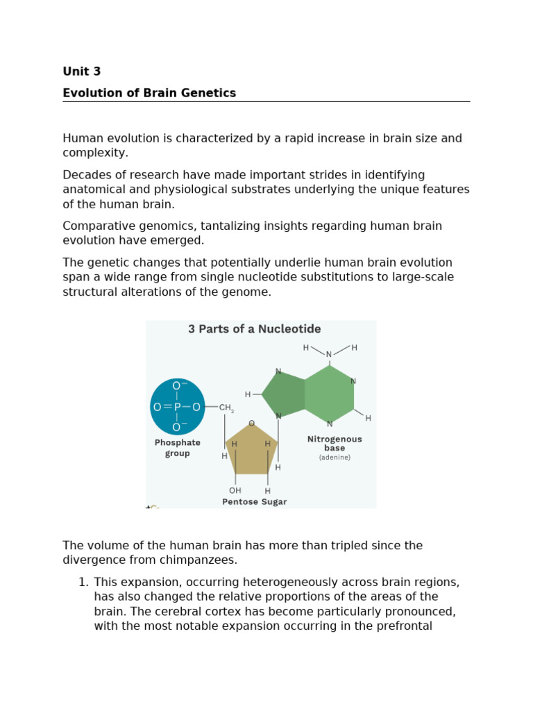 Unit 3 Evolution of Brain Genetics | PDF