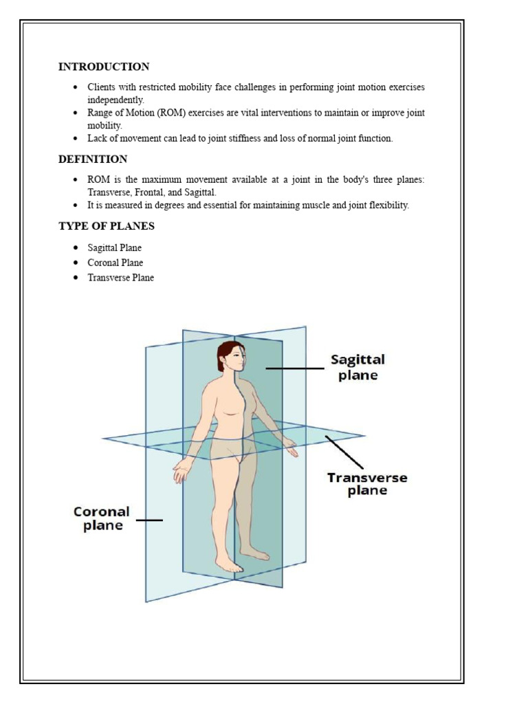 Range of Motion Exercise | PDF | Anatomical Terms Of Motion | Musculoskeletal System