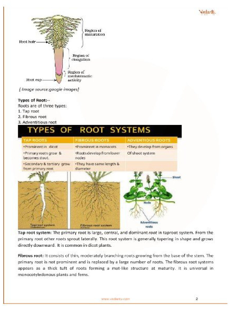 Image To PDF 20241105 16.25.22 | PDF