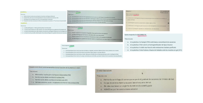 Preguntas Practica 3 Biocel | PDF