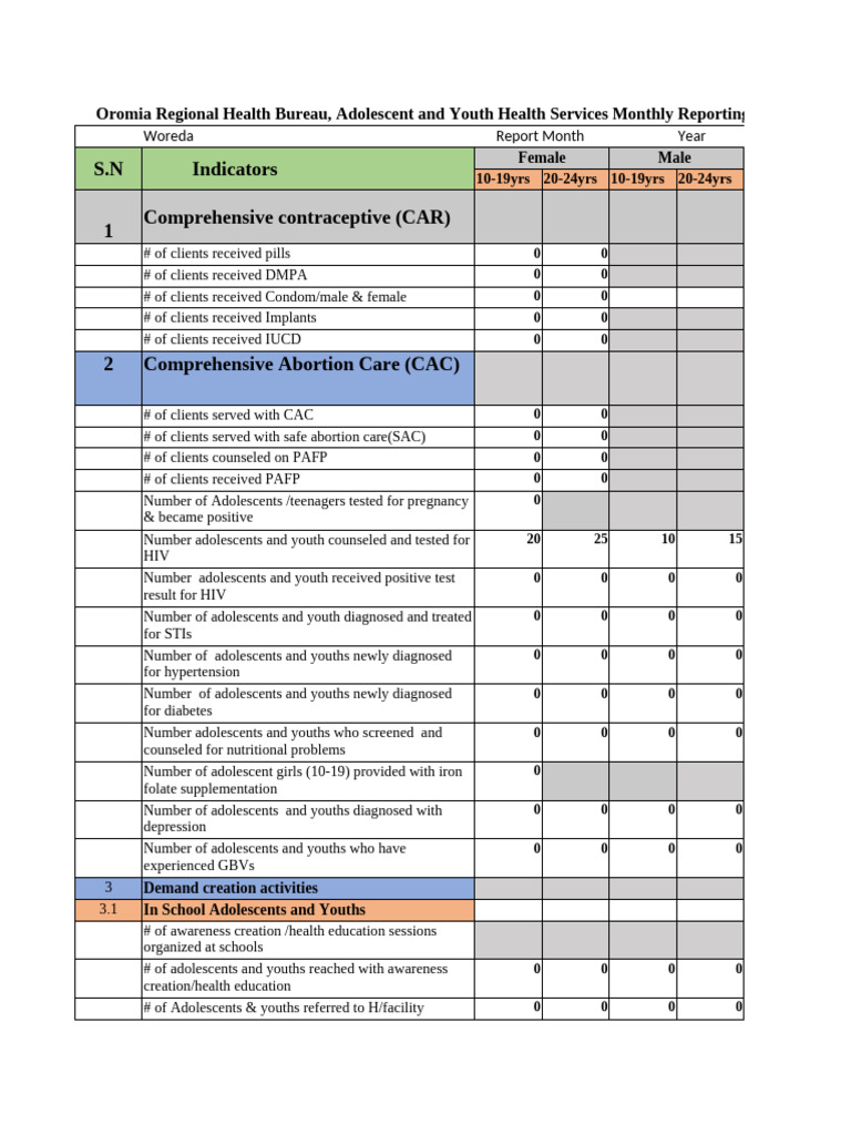 Lagagaba October AYH Report Form | PDF | Adolescence | Family Planning