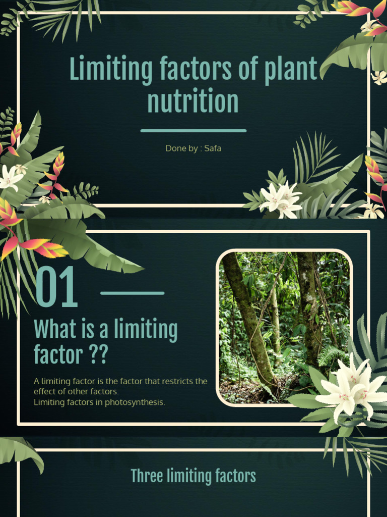 Limiting factors | PDF | Photosynthesis | Carbon Dioxide