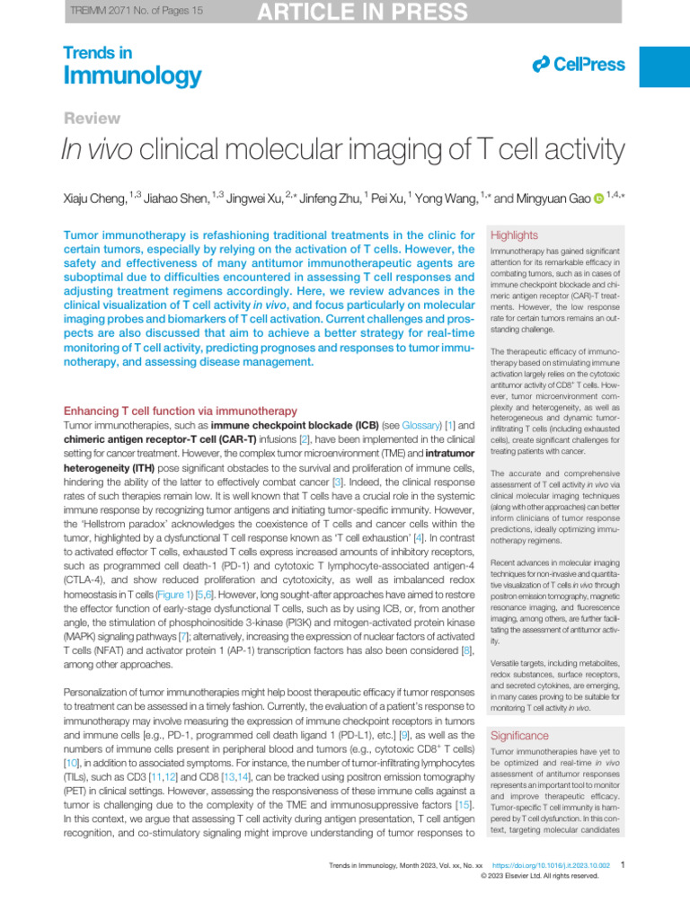 In Vivo Imaging of T Cell Activity | PDF | T Cell | Immunotherapy
