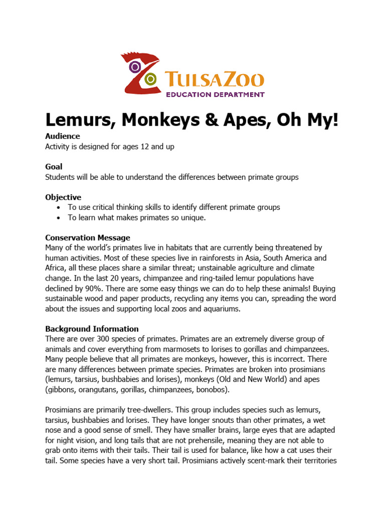Lemurs Monkeys Apes Oh My | PDF | Monkey | Ape