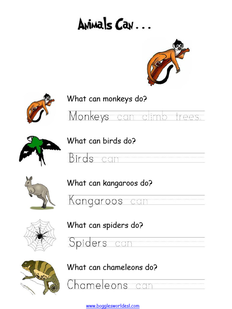 What Can Animals Do | PDF