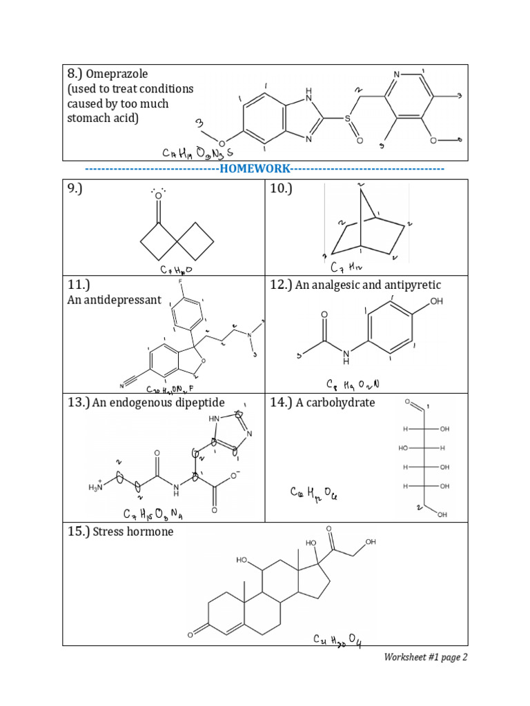 Worksheet 1 Logan | PDF