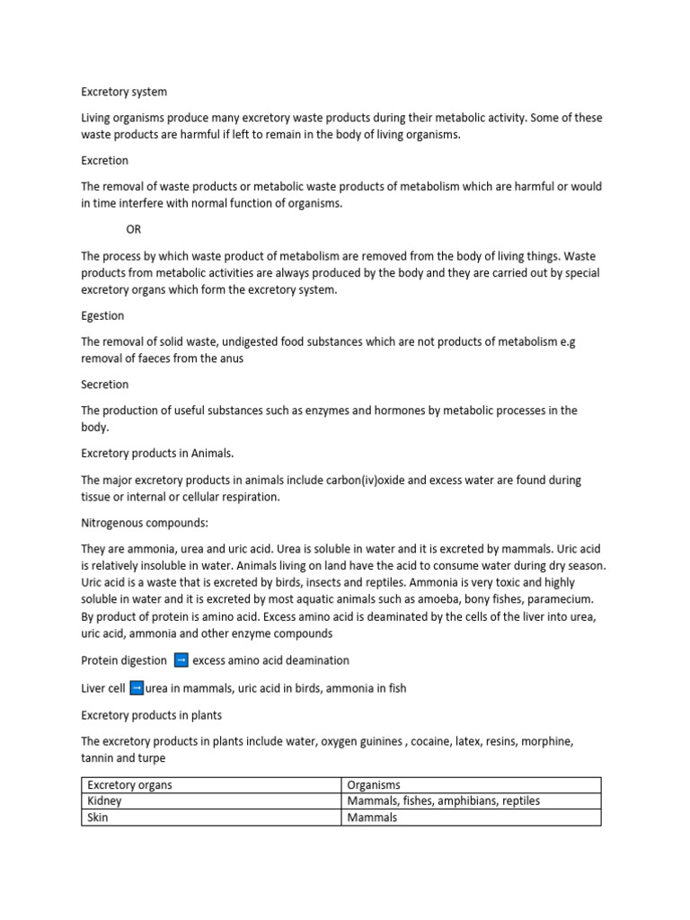 Excretory System Pdf Excretion Kidney