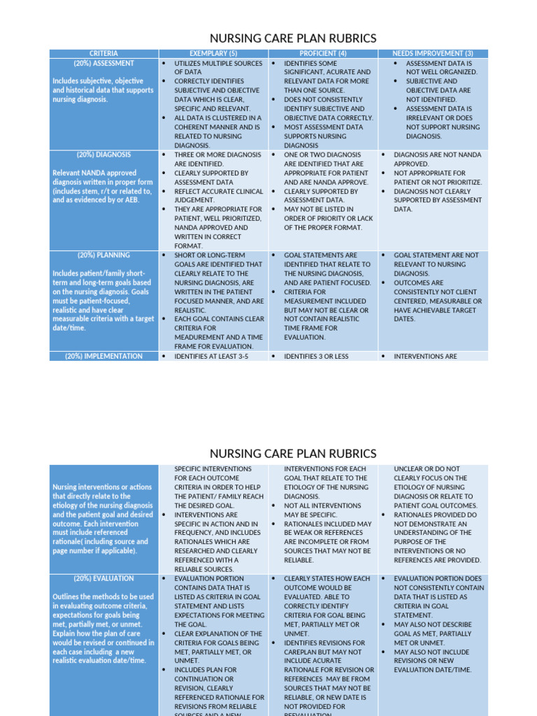 Rubrics For Nursing Care Plan | PDF | Nursing | Health Care