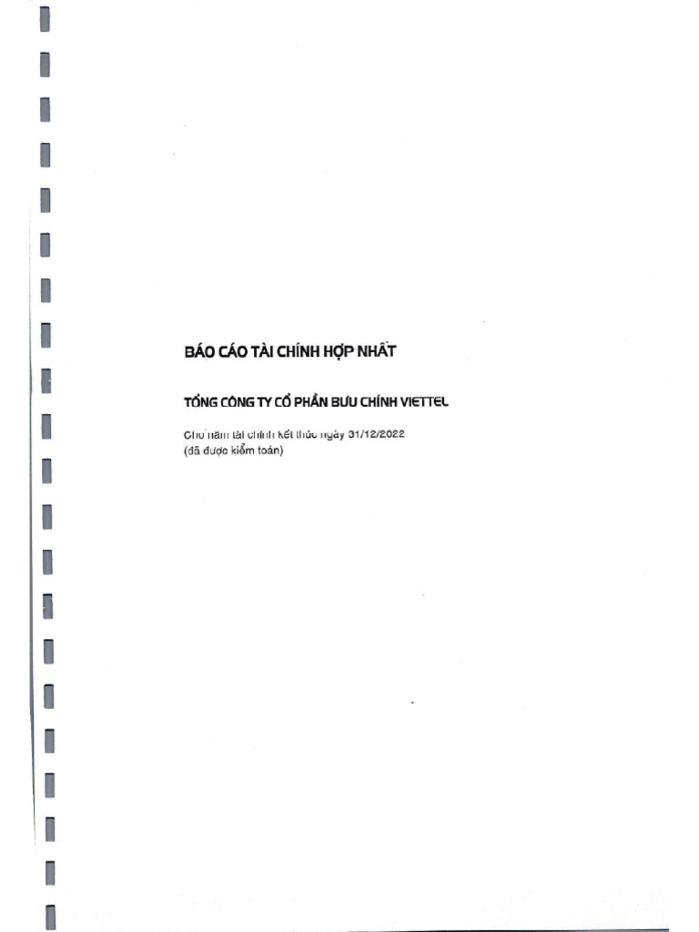 VTP - BCTC Nam 2022 Hop Nhat | PDF