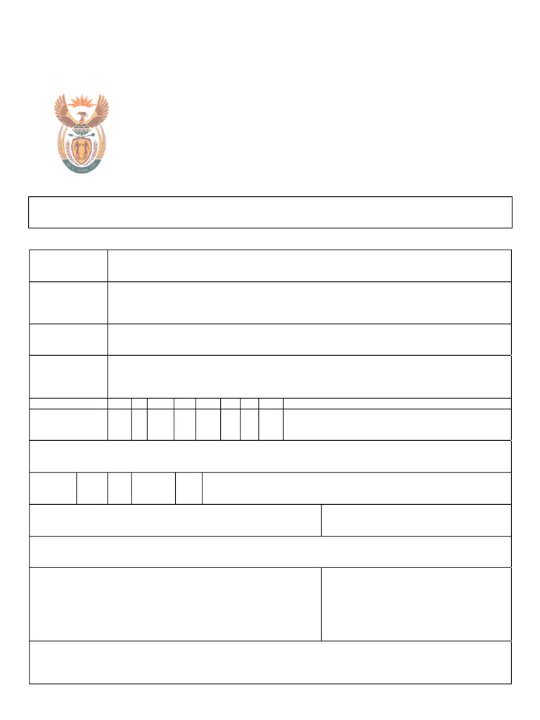 SouthAfricaVisa and Transit Visa Form Bi 84 | PDF | Travel Visa | Passport