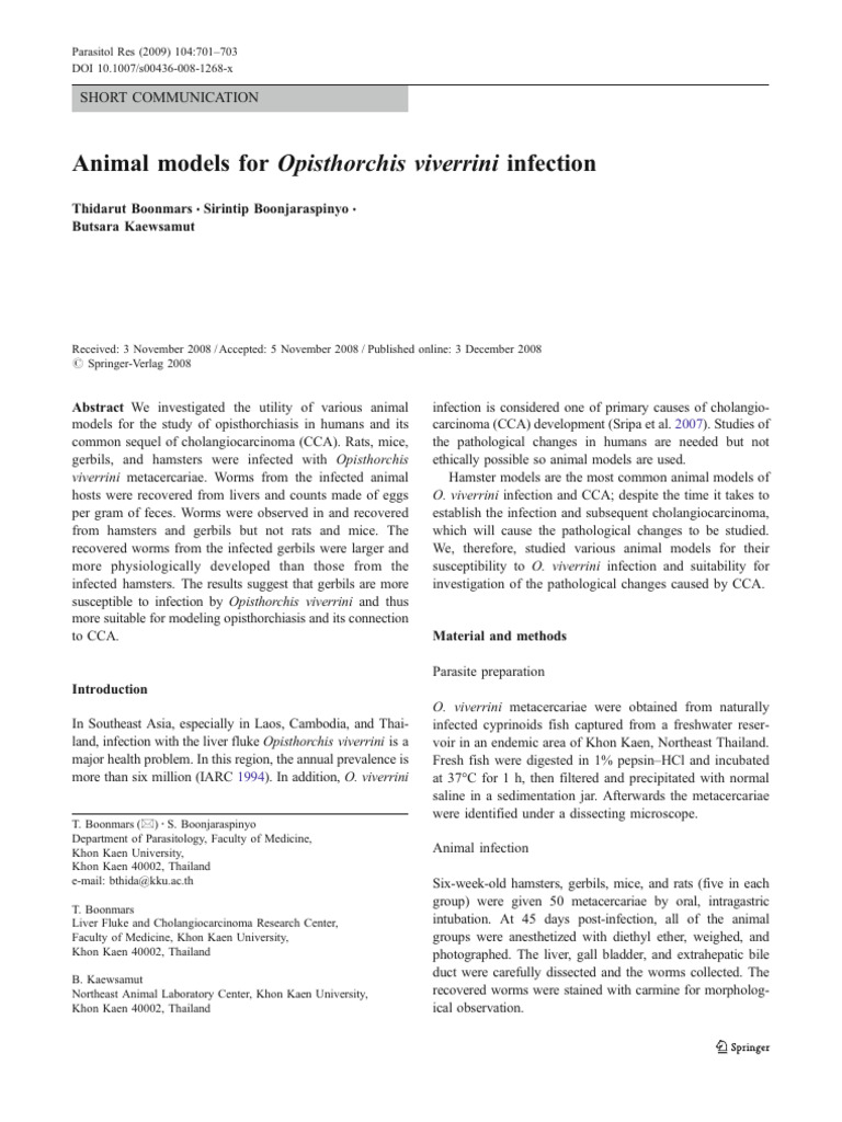 Gerbils: Superior Model for Liver Fluke | PDF | Liver | Medical Specialties