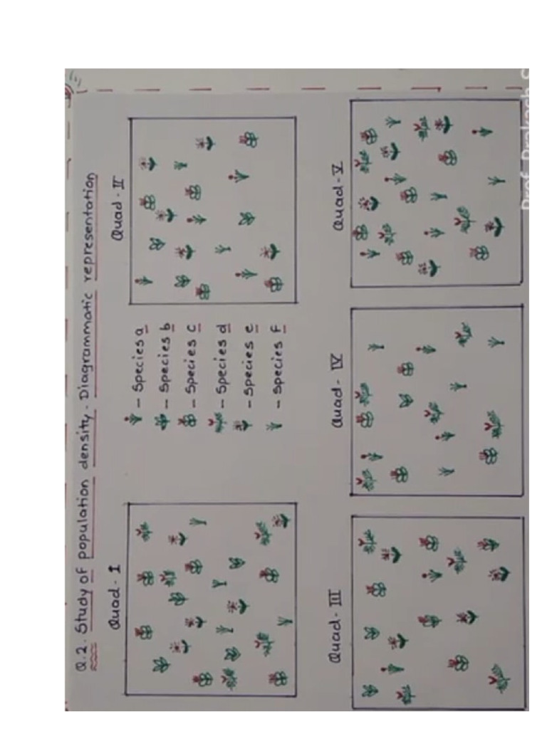 12th Bio Experiment | PDF