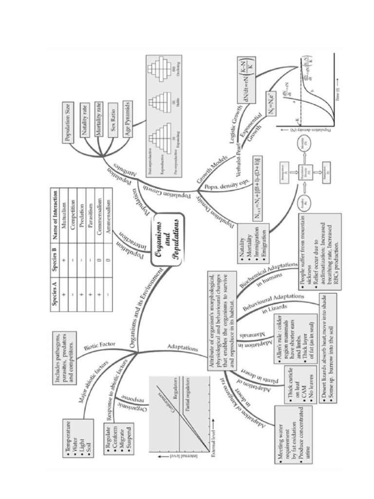 Mind Maps | PDF
