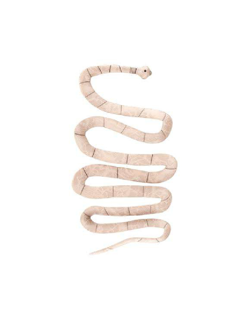 Hand Writing Notes Pdf