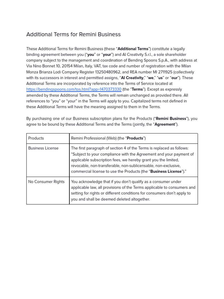 Remini Business Additional Terms | PDF