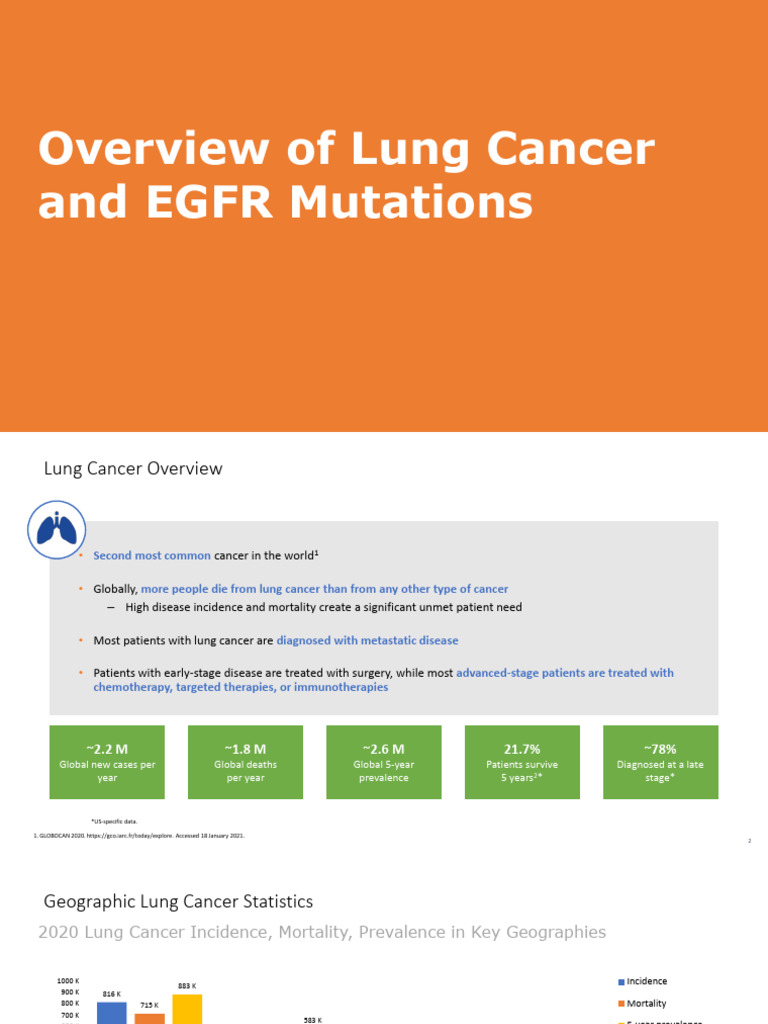 NSCLC vs SCLC: Key Differences Explained | PDF | Epidermal Growth ...
