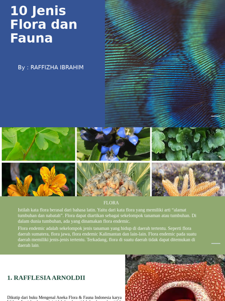 10 Jenis Flora Endemik Indonesia | PDF