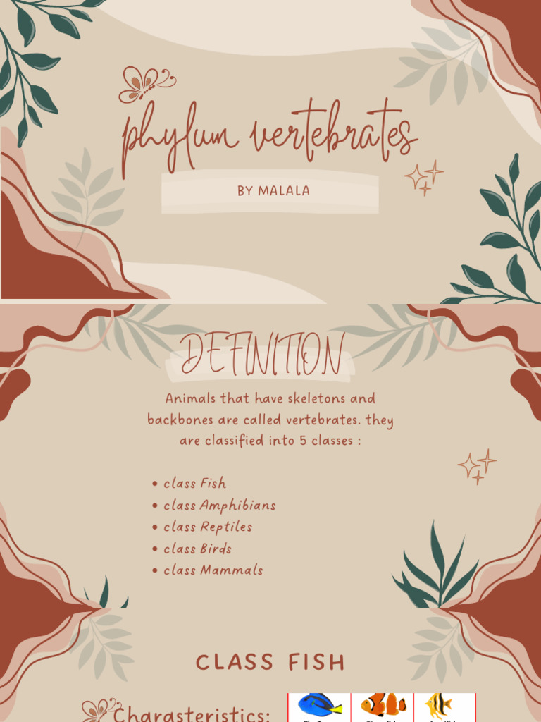 Phylum Vertebrates | PDF