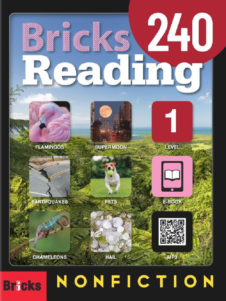 Bricks Reading 240-1 | PDF