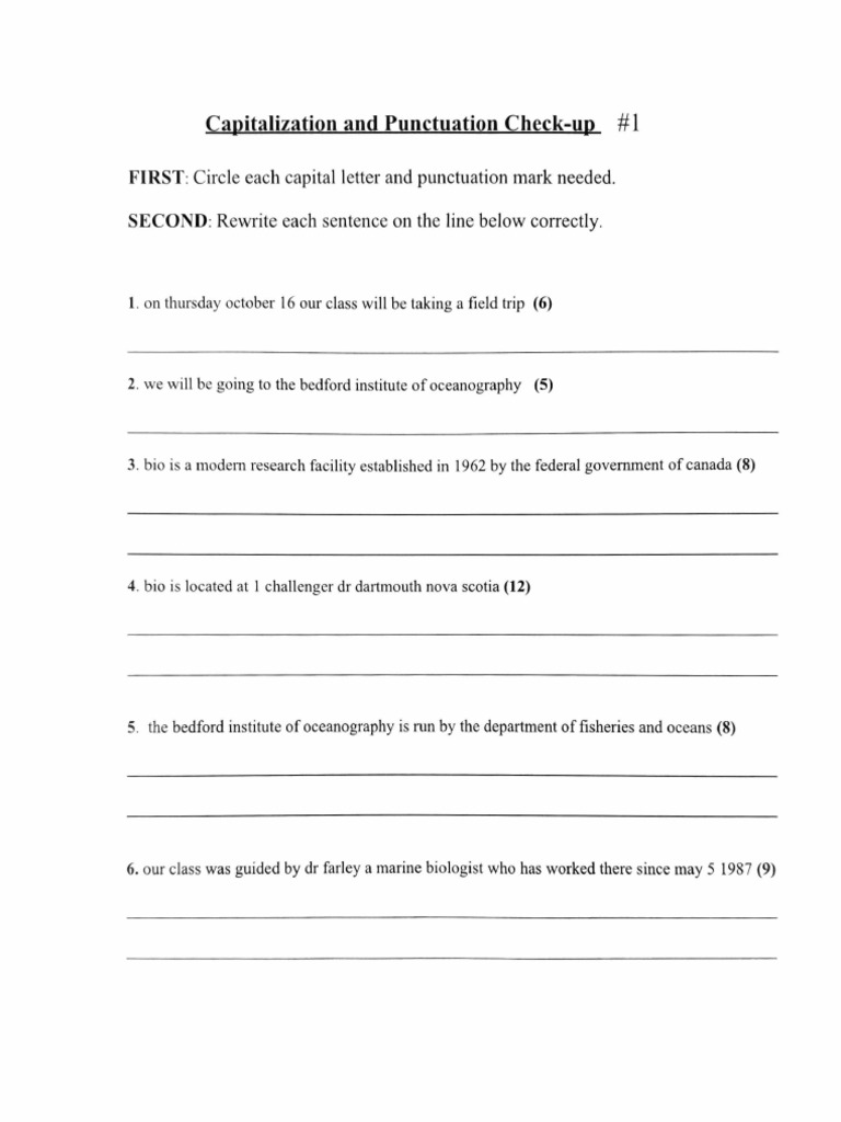 Capitalization and Punctuation Check-Up 1 | PDF