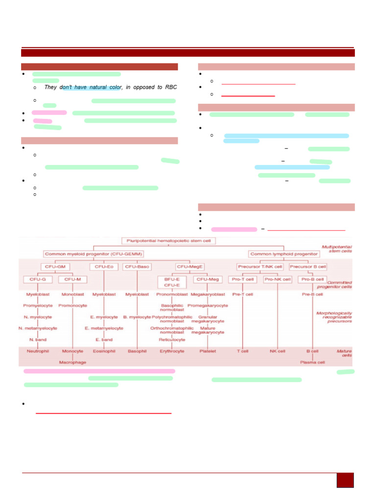 Mlshem1c-L7 - 1&2 - WBC | PDF | White Blood Cell | Lymphocyte
