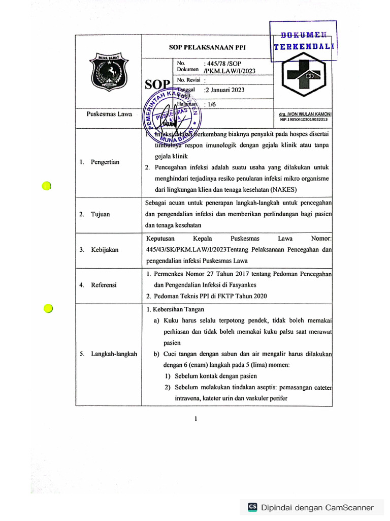 Sop Pelaksanaan Ppi | PDF